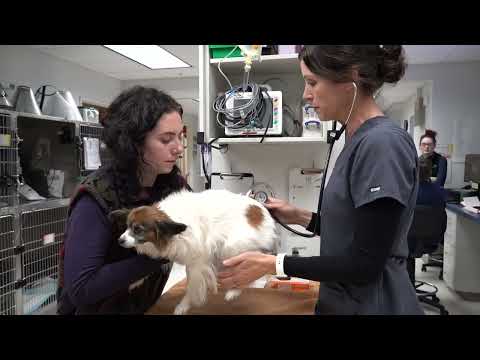 What is Urgent Care?