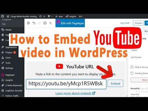 How to Embed a Youtube video in your WordPress post?