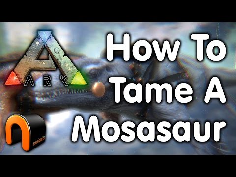 Steam Community :: ARK: Survival Evolved