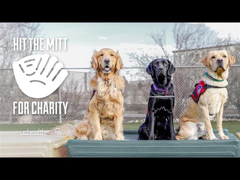 Hit the Mitt 2025 | Freedom Service Dogs | UCHealth x Colorado Rockies