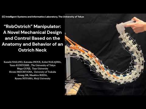 Robo Ostrich Neck | Robert McGrath's Blog
