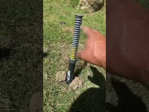 Best gopher trap I’ve ever used. See my other videos for setting this baby