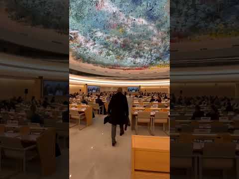 The UN Human Rights Council in action