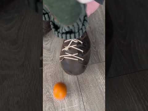 English Bulldog Vs Bad Santa Food Taste Test? #dog #viralvideo #dogshorts