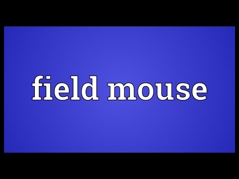 Field mouse Meaning