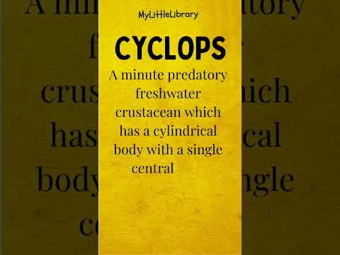 CYCLOPS 👁️