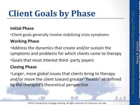 Treatment Planning Mastering Competencies 2nd edition