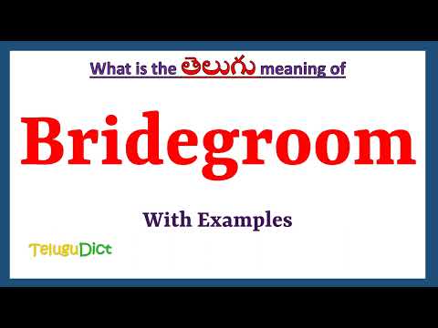 Bridegroom Meaning in Telugu | Bridegroom in Telugu | Bridegroom in Telugu Dictionary |