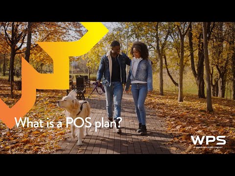 What is a POS plan? | WPS explains