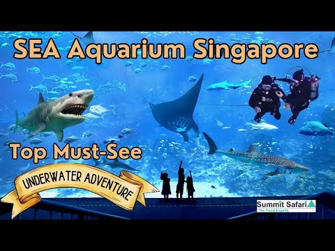 sentosa island sea aquarium singapore 2023