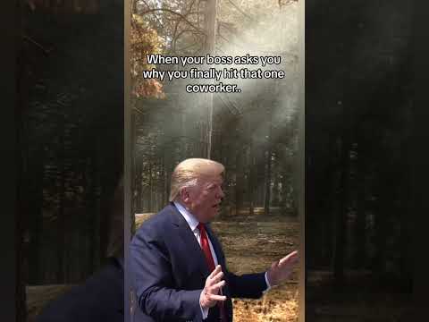 Had to happen.. #shorts #work #boss #HR #job #hit #fight #coworker #jokes #meme #memes #trump