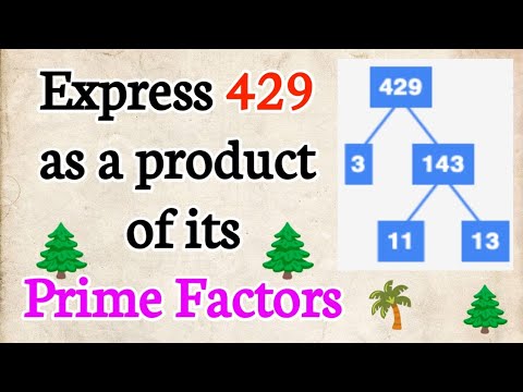 Prime Factors of 429 by Factor Three Class 10th CBSE NCERT Maths chapter 1