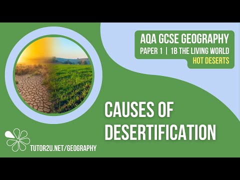 Causes of Desertification | AQA GCSE Geography | Hot Deserts 8