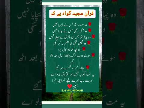 Beautiful Words #ameen #quran #beautiful #islamic #quotes #love #bestquotes #deensayings #ytshorts 🥀