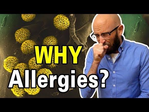 Why Do We Get Allergies?