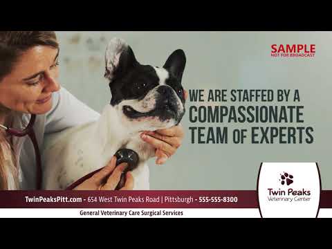 Vet and Pet Medicine Animal Hospital Digital Signage Biz Card