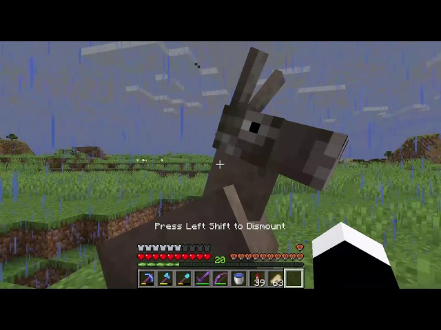 Where do donkeys spawn in Minecraft?