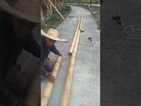 Construcción vigas en guadua #artasan039 #bamboo #guaduas #lacasadelbambu