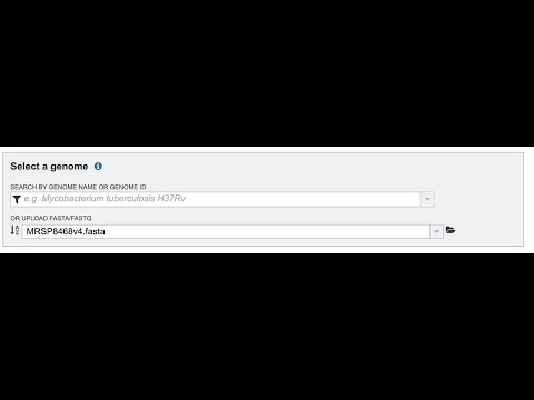 Uploading files and submitting contigs to Similar Genome Finder