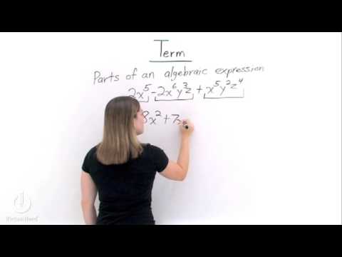 What's a Term in a Polynomial?