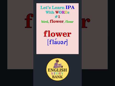 Let’s Learn IPA with Words #1 bird, flower, flour; 鳥, 花, 小麦粉 ; 새, 꽃, 밀가루 #Shorts#learnenglish