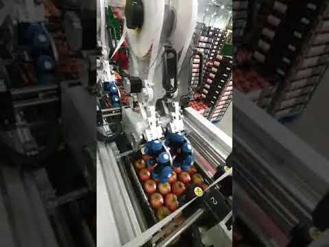 TRAY LABELER WITH RANDOM VISION SYSTEM - HDTLR