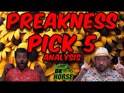 2025 PREAKNESS Pick 5 🌻 🌻 Race by Race Analysis of the LATE PICK 5 🌻🌻 - Presented by DK Horse
