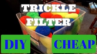 How To: Build a Wet/Dry Sump Trickle Filter - The DIY Aquarium