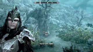 Imperial Soldier And Stormcloak Soldier Who Win at Skyrim Special ...