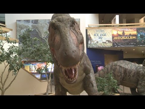 Museum holds first adult-only sleepover