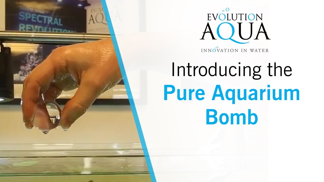 Introducing the PURE AQUARIUM BOMB