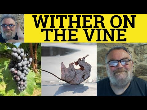 🔵 Wither on the Vine Meaning - Wither on the Vine Examples - Idioms - Wither on the Vine Defined