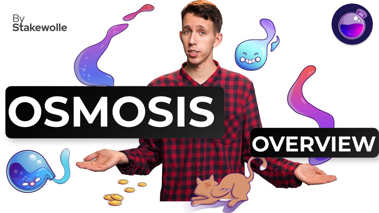 Stakewolle overview - Osmosis