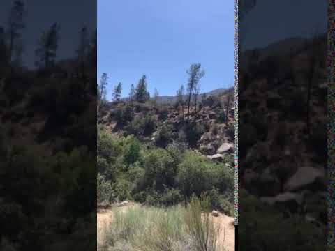 Goldledge Campground, CA | The Dyrt