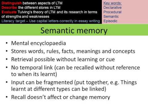 Cognitive psychology Semantic long term memory
