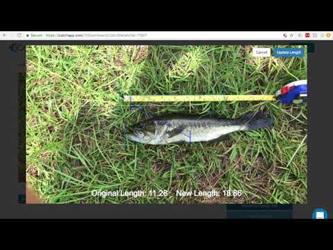 iCatch Admin Demo