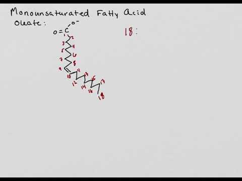 Lipids: Fatty Acids