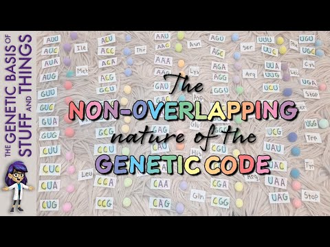 Codons don’t overlap in the shagadelic genetic code, baby. Yeah!