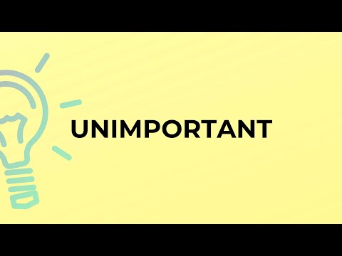 What is the meaning of the word UNIMPORTANT?