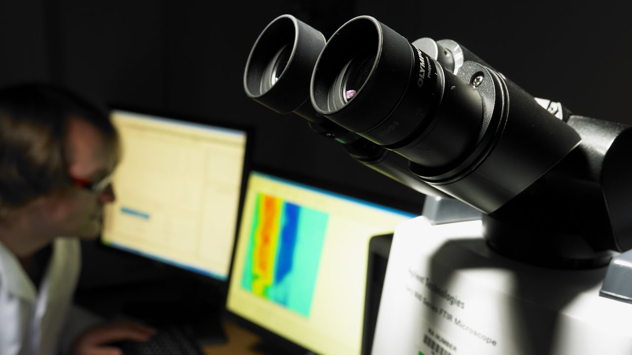 FT--IR spectroscopy | Campden BRI