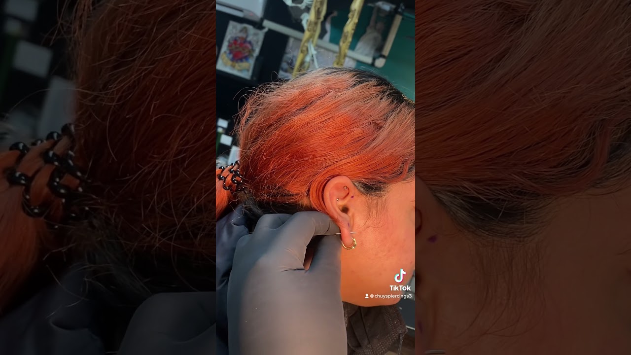 Ear Lobes Piercings #bodypiercing #nyc #piercing #viral #bodypiercer #nosepiercing #nostrilpiercing