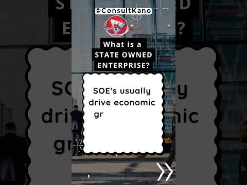 What Is A State-Owned Enterprise SOE or SOC | Public Sector Undertaking PSU Explained @ConsultKano