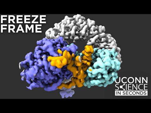 Science in Seconds: Freeze Frame