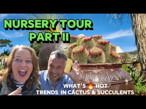 Epic agaves trend & unique succulents~ NURSERY TOUR