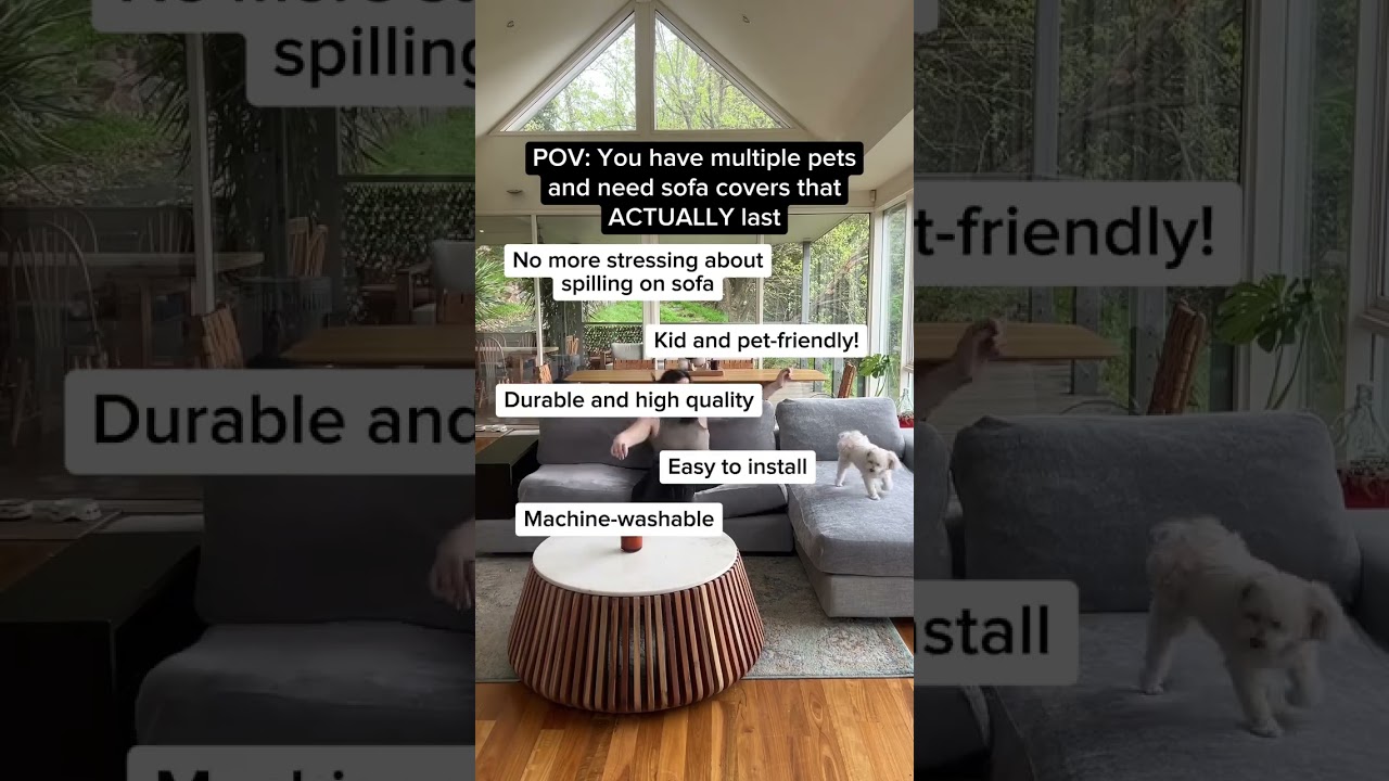 The Sofa Cover Every Multi-Pet Home Needs!