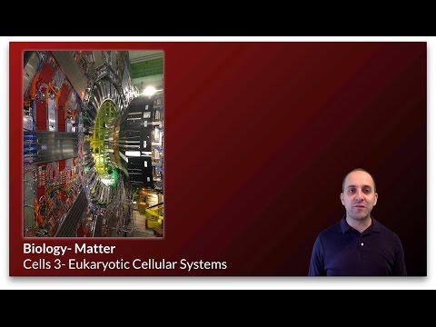 K-Bio Matter 9: Cells 3- Eukaryotic Cellular Systems