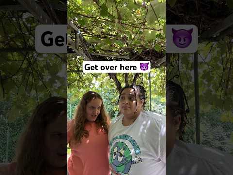 Letβs dance ππ» #shorts #tiktok #songs #asmr #youtubeshorts #explore #fun #funny