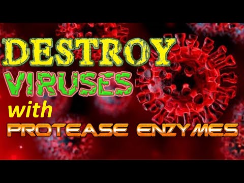 Destroy viruses with protease enzymes!