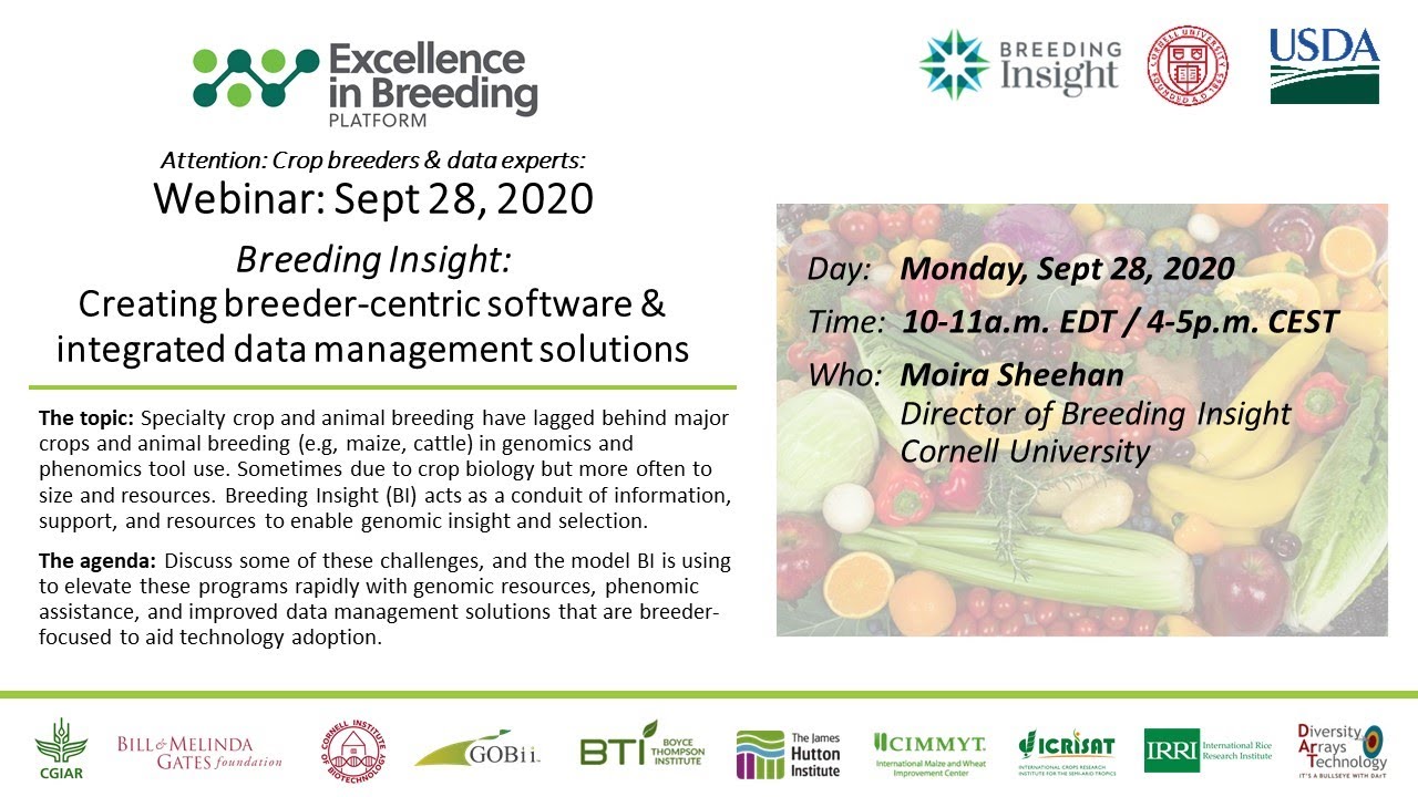 EiB Webinar: Breeding Insight - Breeder centric software & integrated data management