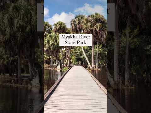 5 Of Florida's Most Beautiful State Parks, According To Our Readers!